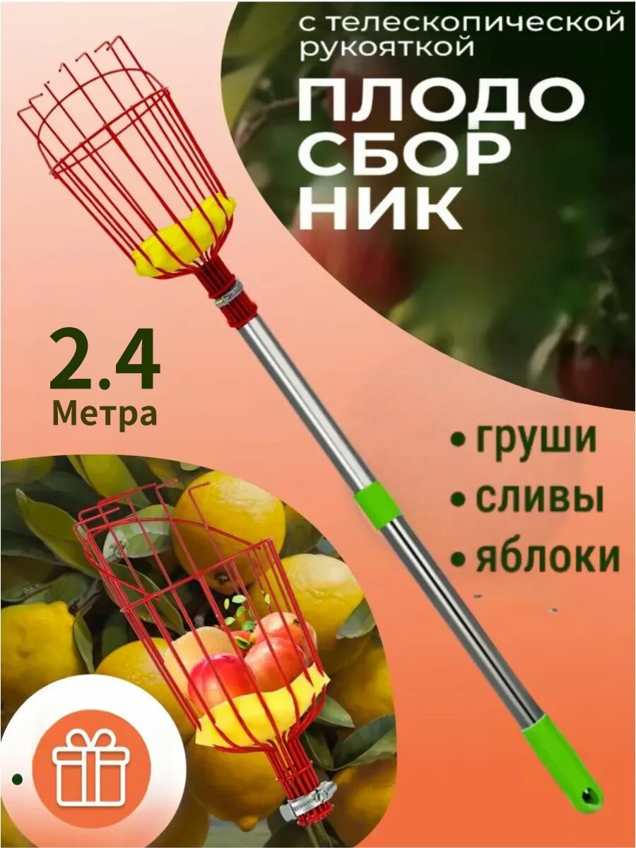 Плодосборник для фруктов с телескопической ручкой. Плодосборник для фруктов 2.4m
