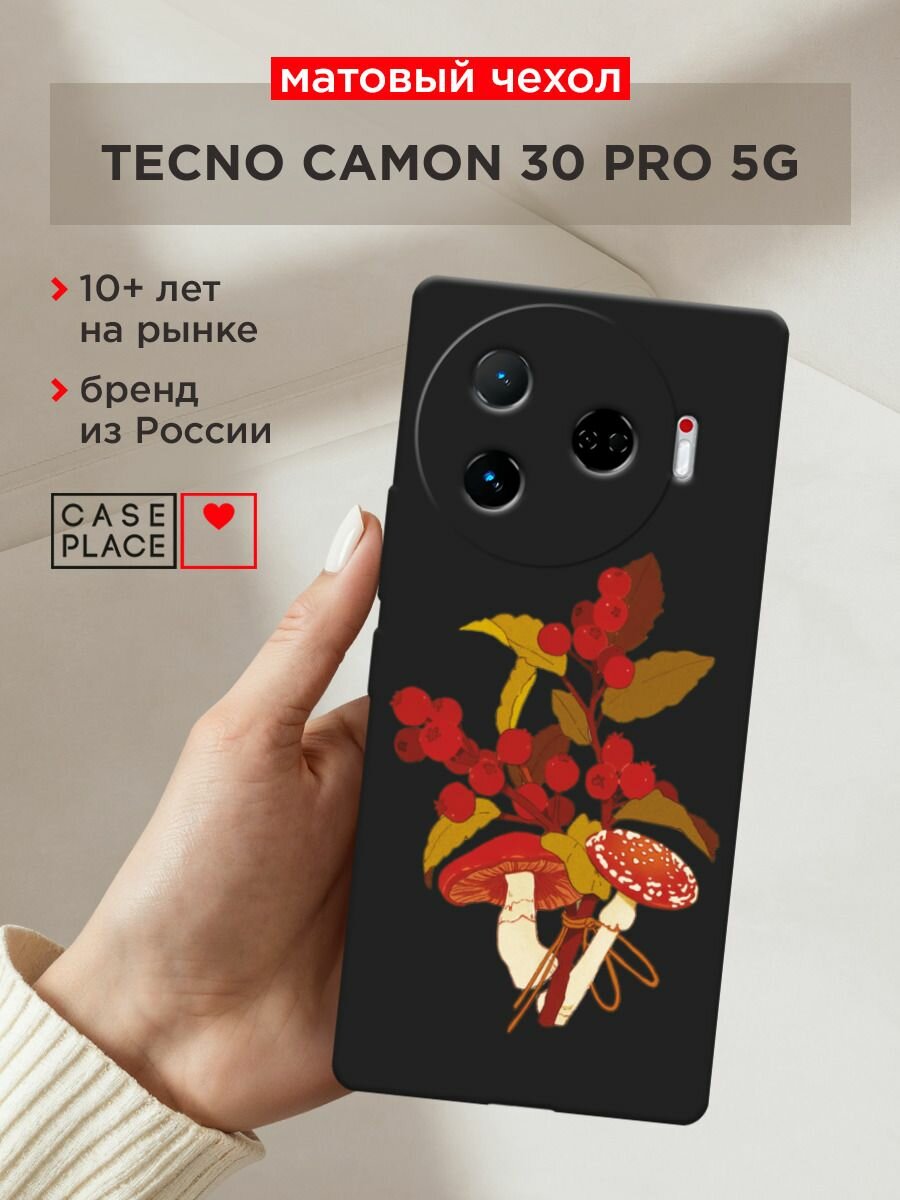 Чехол на Tecno Camon 30 Pro 5G / Текно Камон 30 Про 5G с принтом "Рябина с грибами", прозрачный