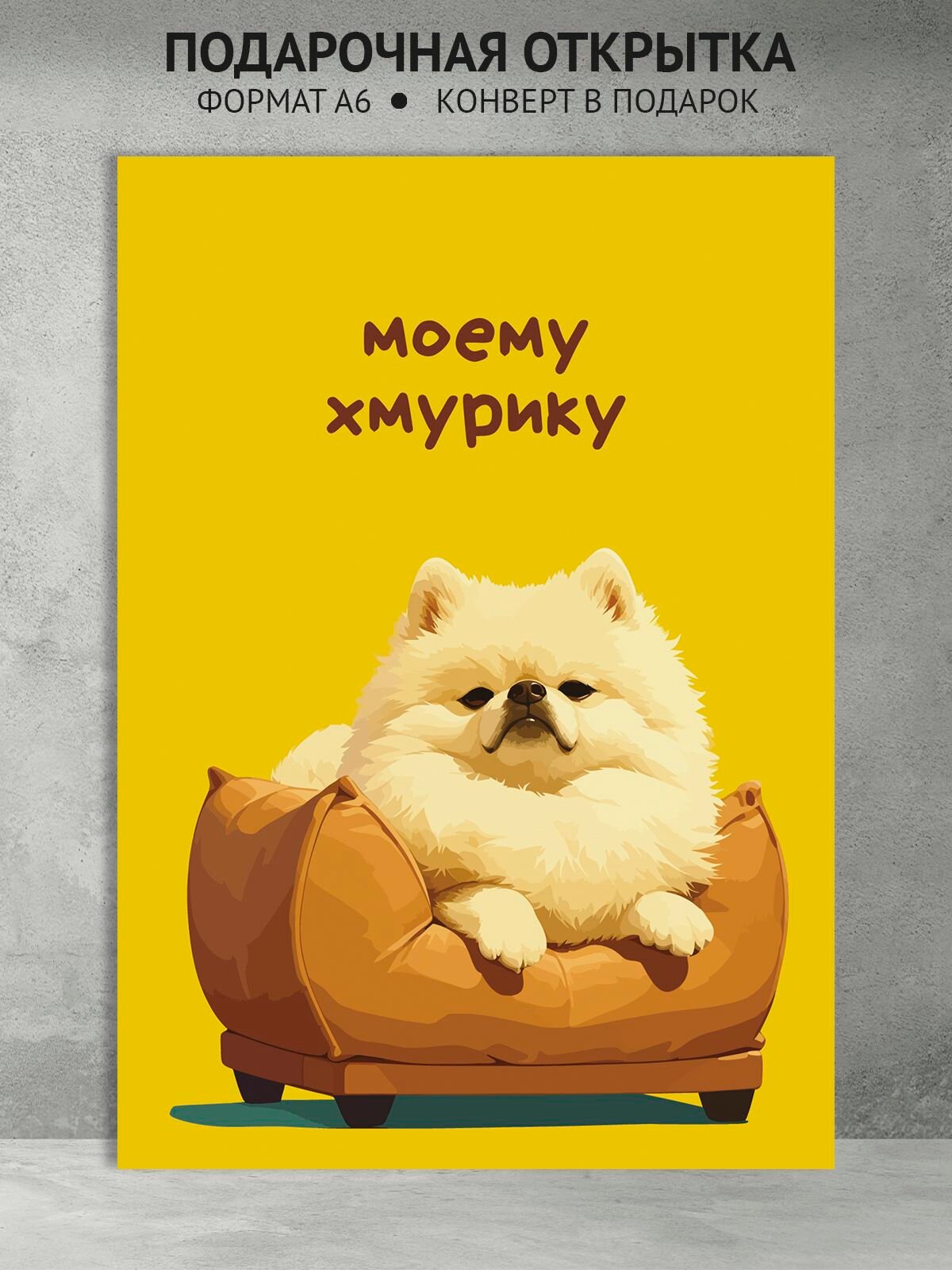 Подарочная открытка со смешной иллюстрацией собаки породы шпиц "Моему хмурику" с днем рождения, с юбилеем, без повода