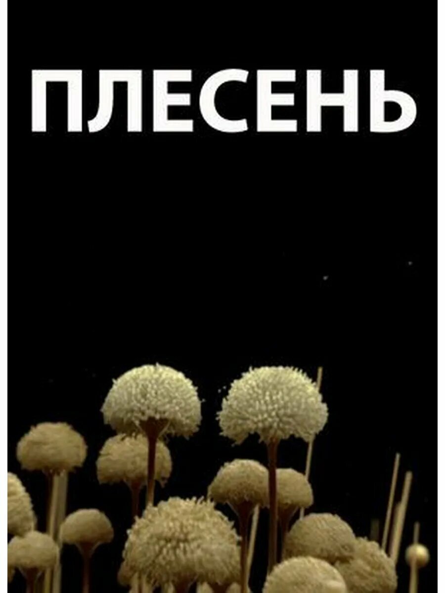 Плесень (2008) (Флешка)