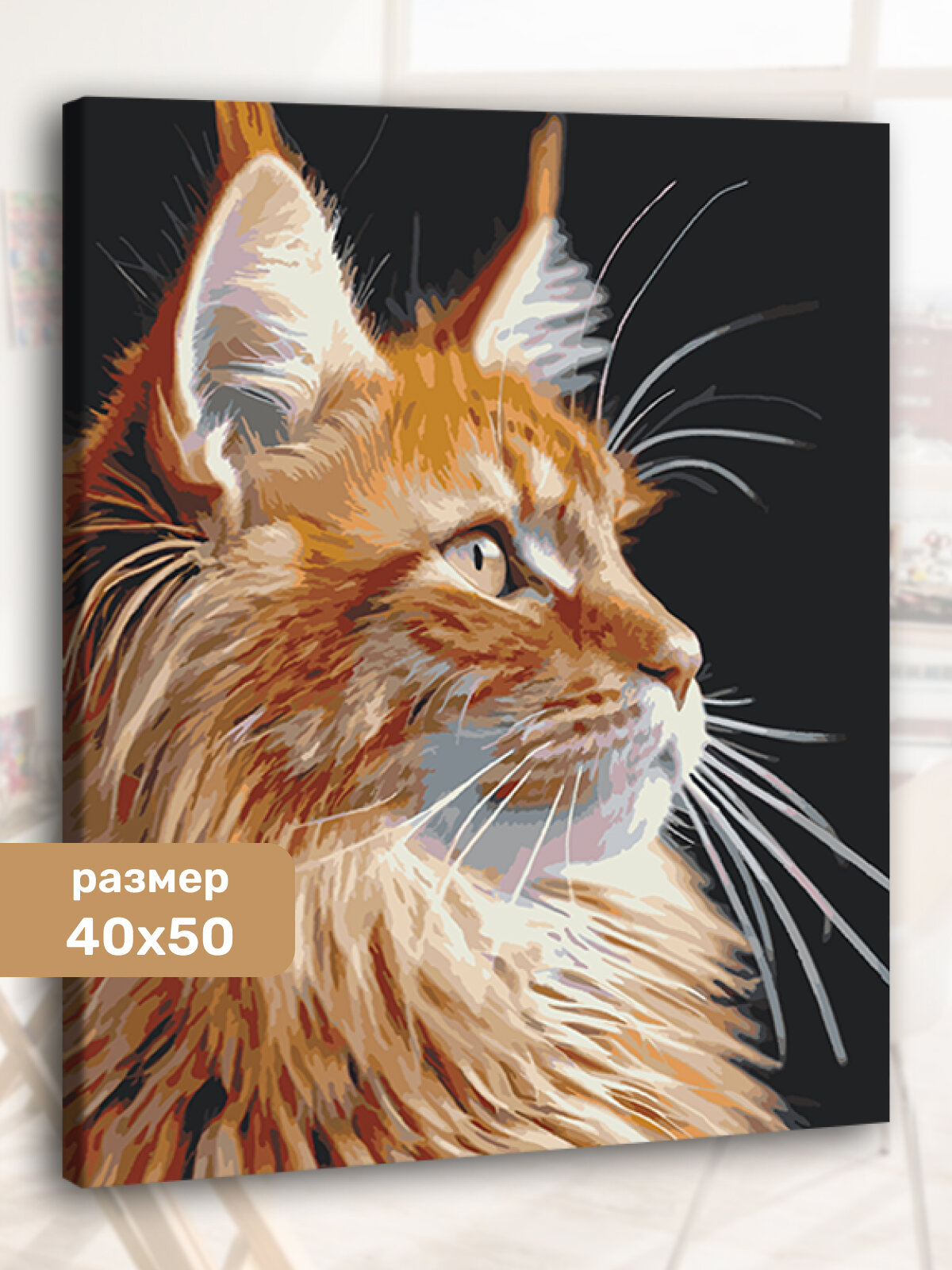 Картина по номерам на холсте и подрамнике "Кот Мейн-кун"40х50