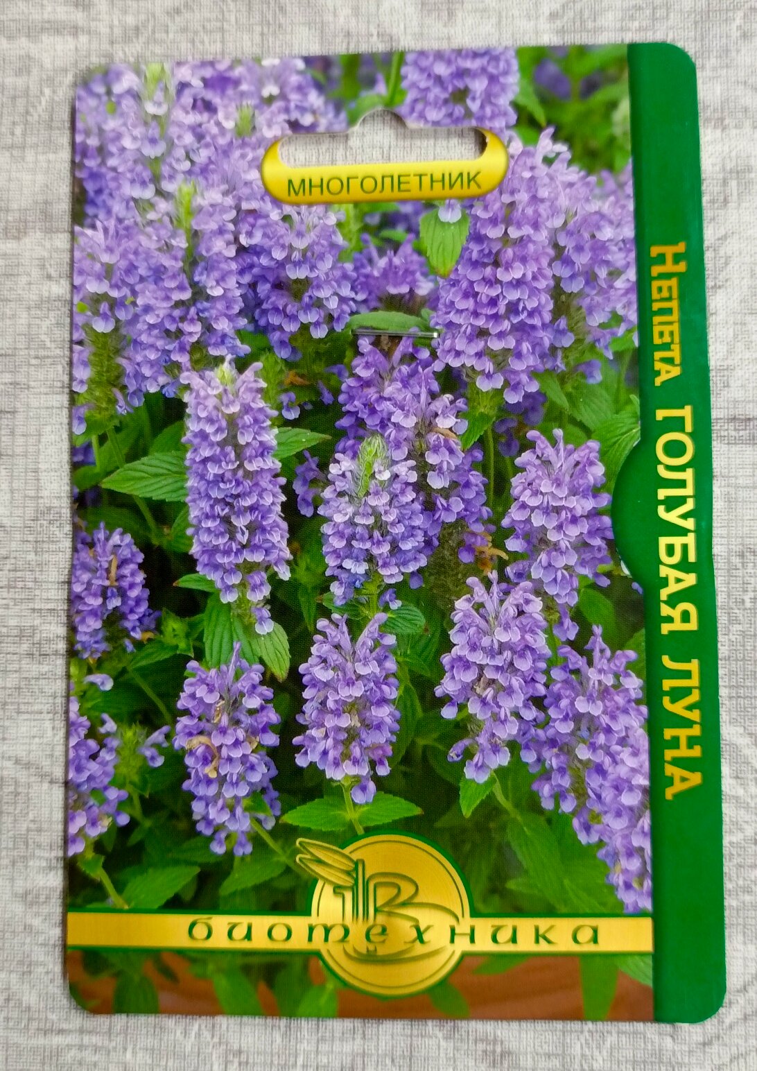 Семена Непета, многолетнее растение, 25-30см с продолжительным цветение, 8 семян в пачке. Агрофирма Биотехника.