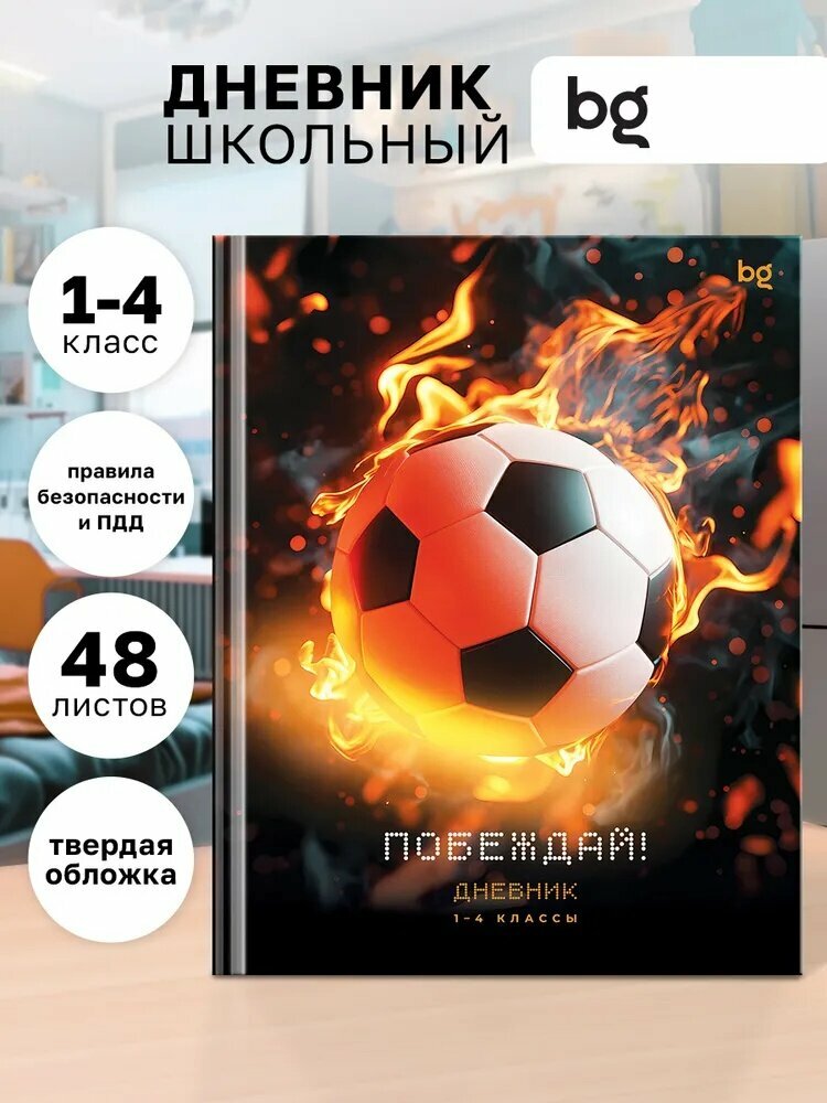 BG Дневник школьный A5, листов: 48