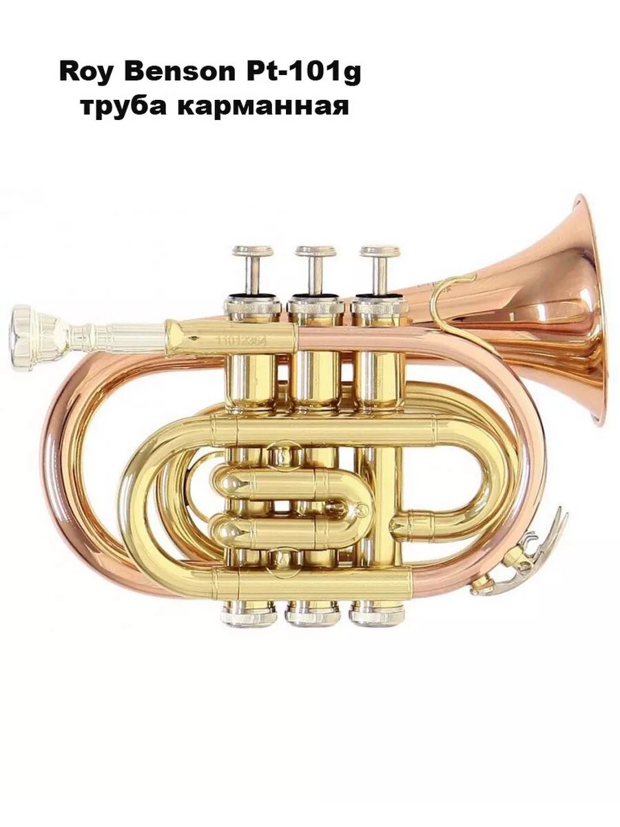 Roy Benson Pt-101g - труба карманная