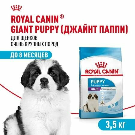 ROYAL CANIN GIANT PUPPY 3,5 кг сухой корм для щенков очень крупных размеров до 8 месяцев