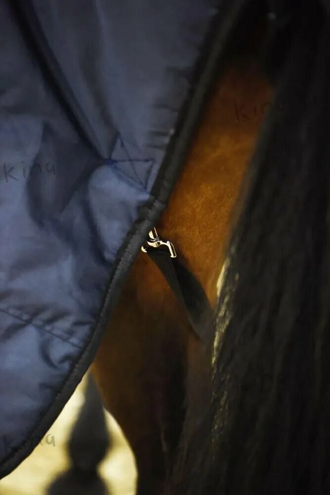 Попона для лошади