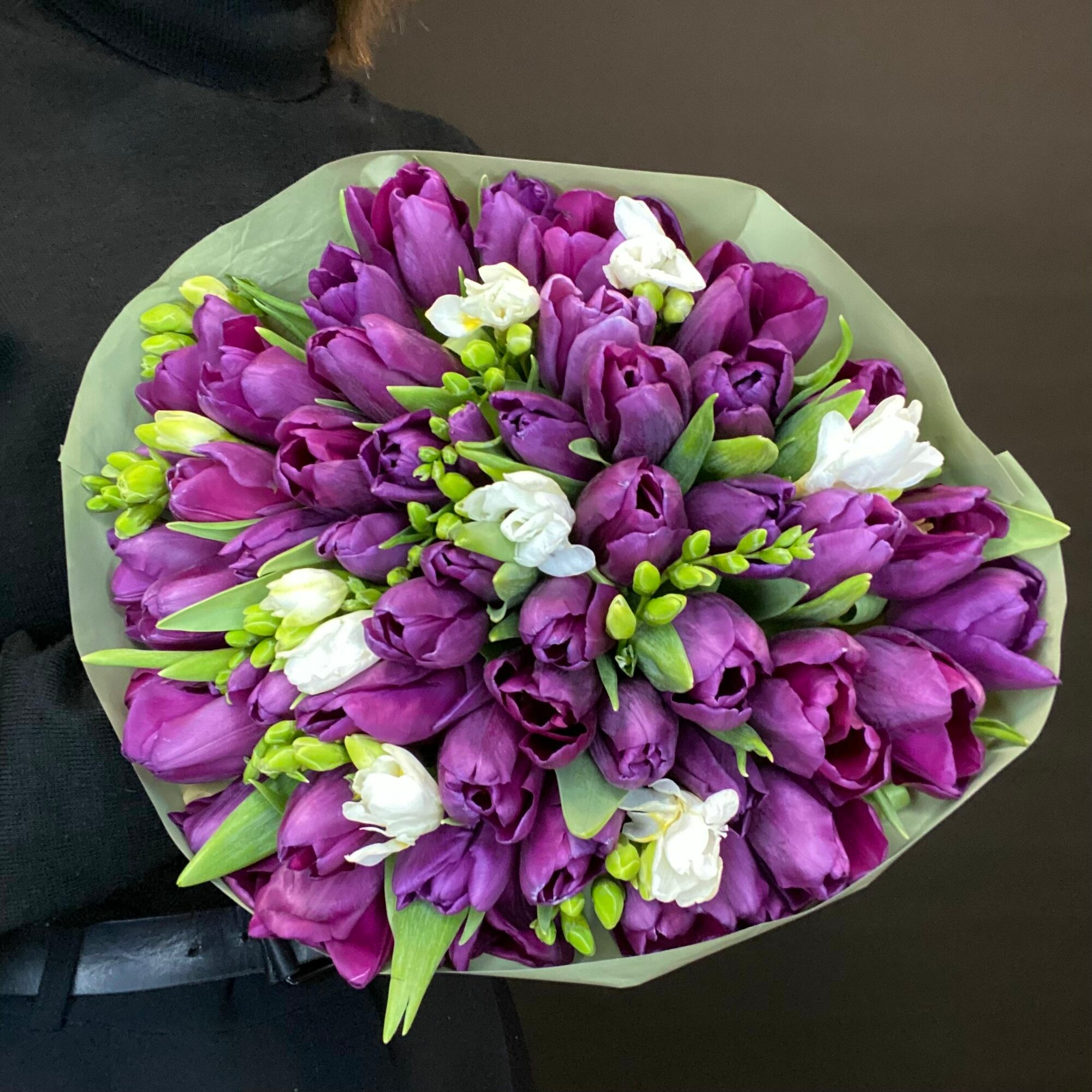 Фиолетовые тюльпаны