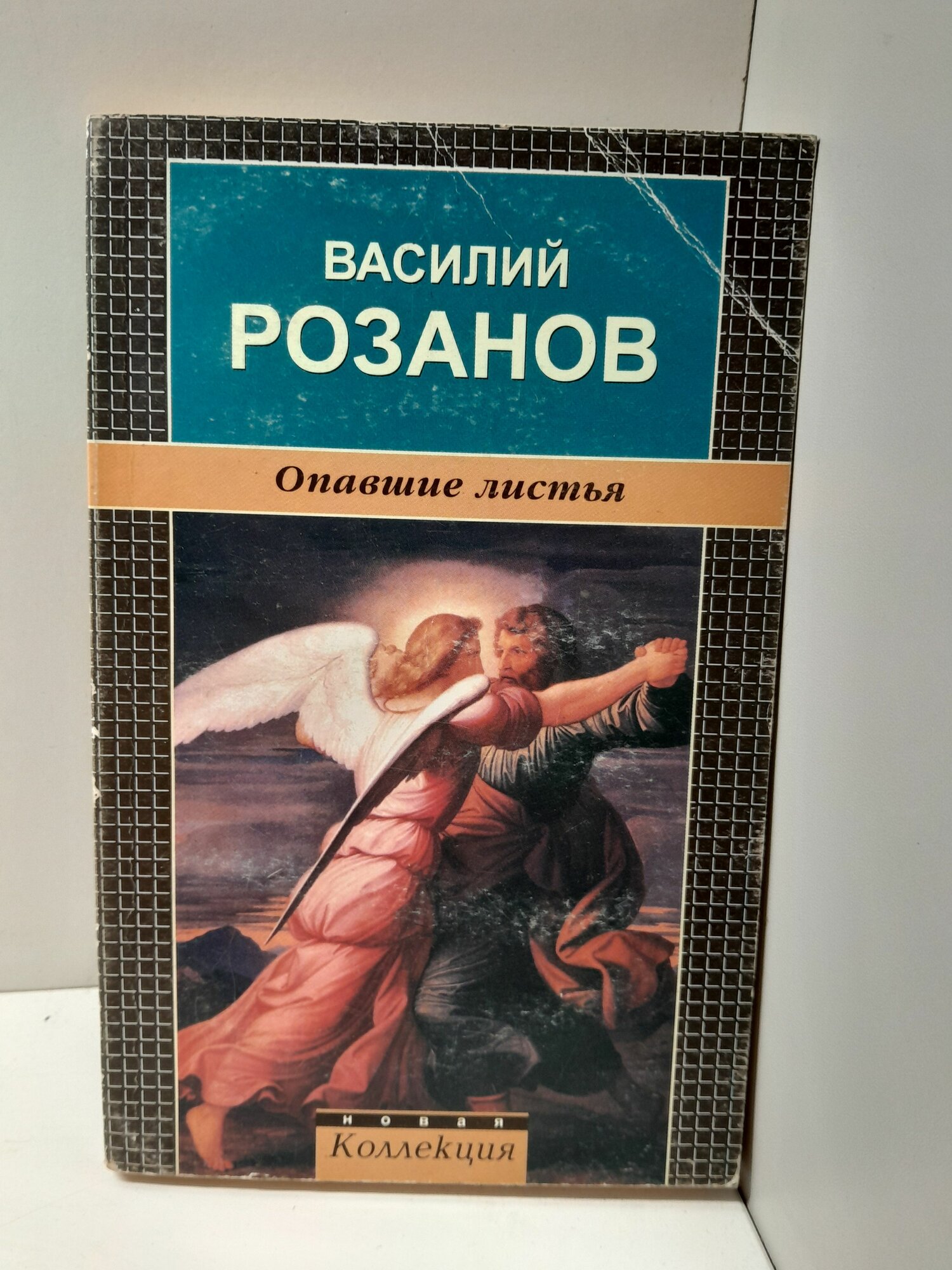 Опавшие листья. Избранные страницы / В. В. Розанов
