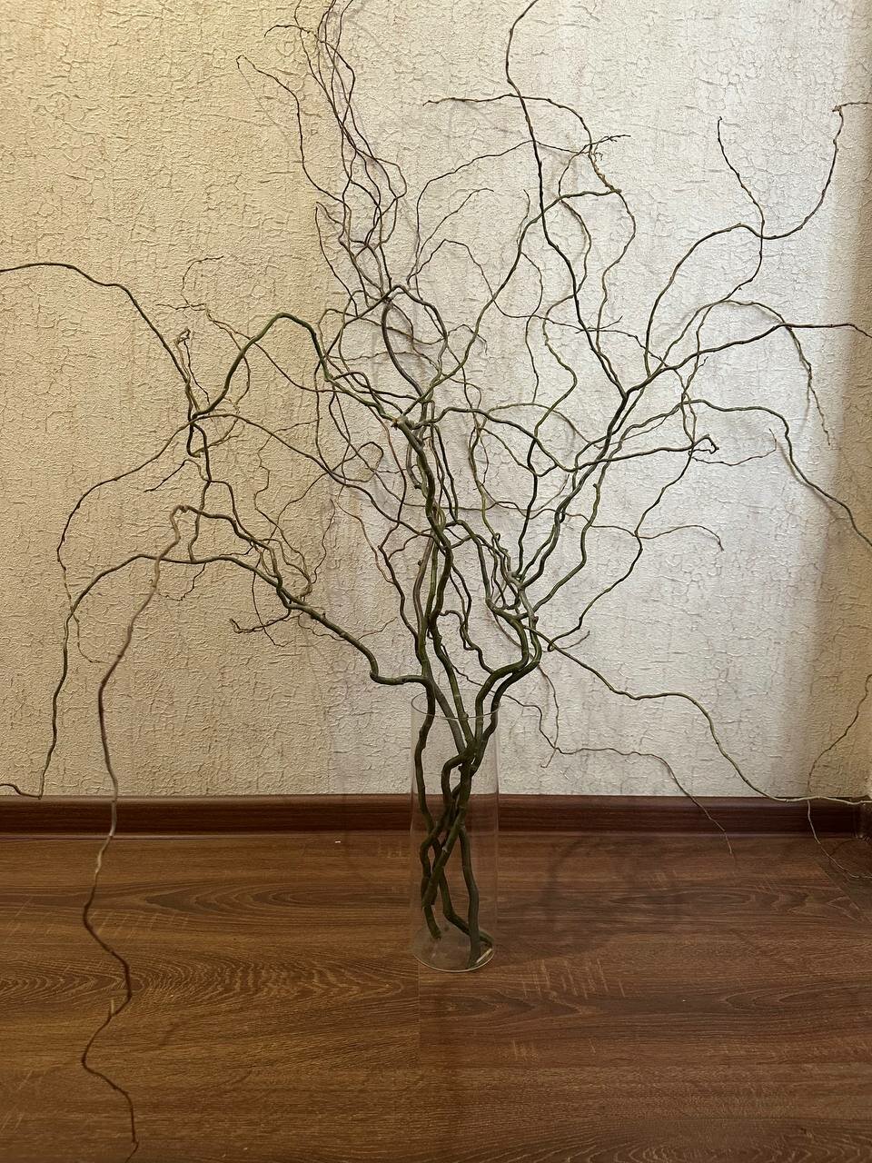 Сухоцветы для декора корилус 5 веток, декоративные ветки ивы извилистой.