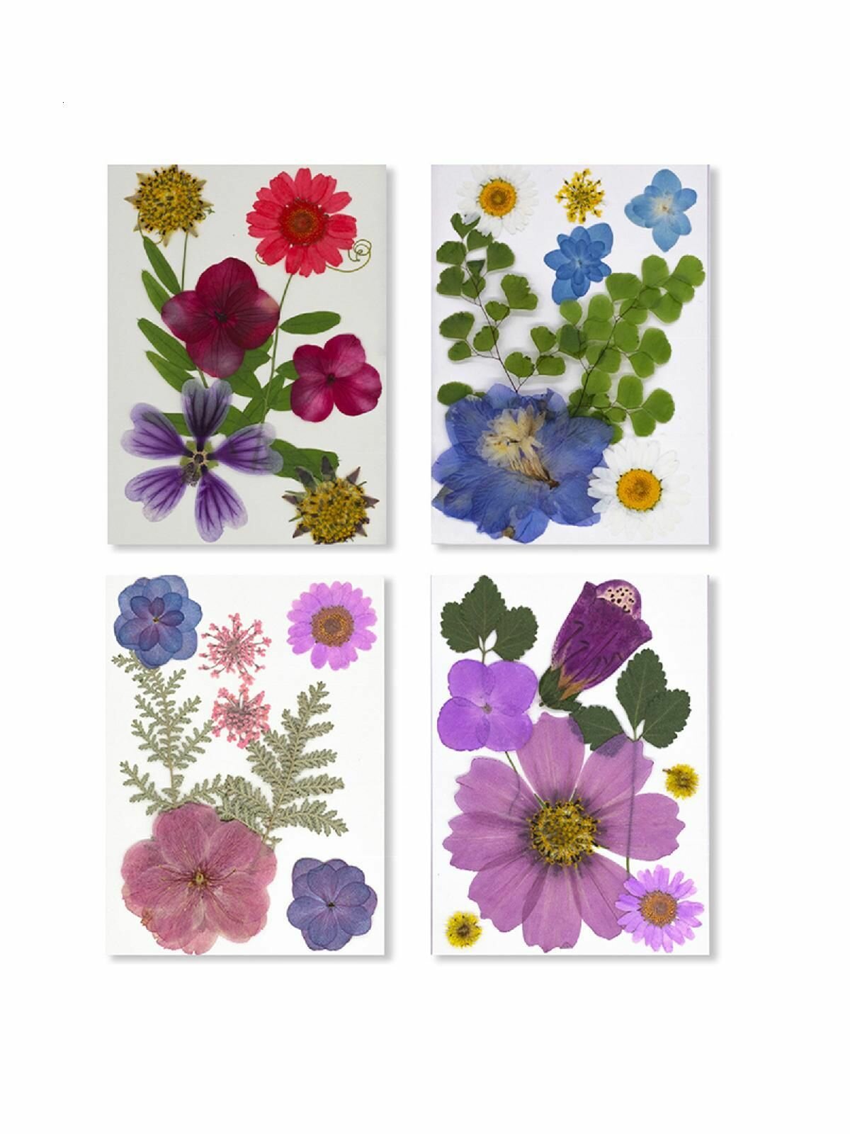 Стабилизированныецветы,4 упаковки по 32шт, настоящее цветочное тиснение ручной работы из эпоксидной смолы, упаковка сушеных цветочных материалов-фиолетовая серия