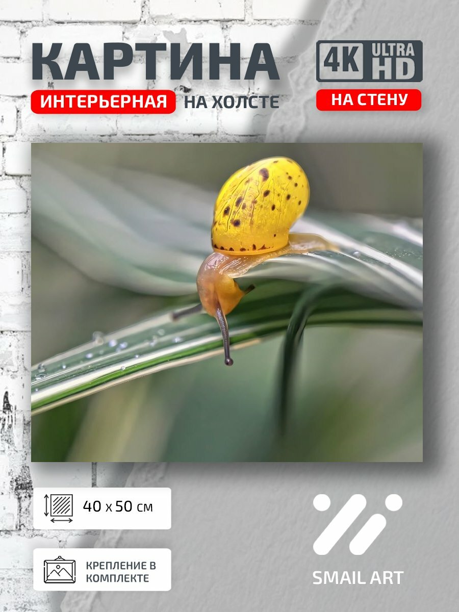 Картина на холсте интерьерная 40 на 50 на стену Улитка Landscape для спальни пейзаж декор