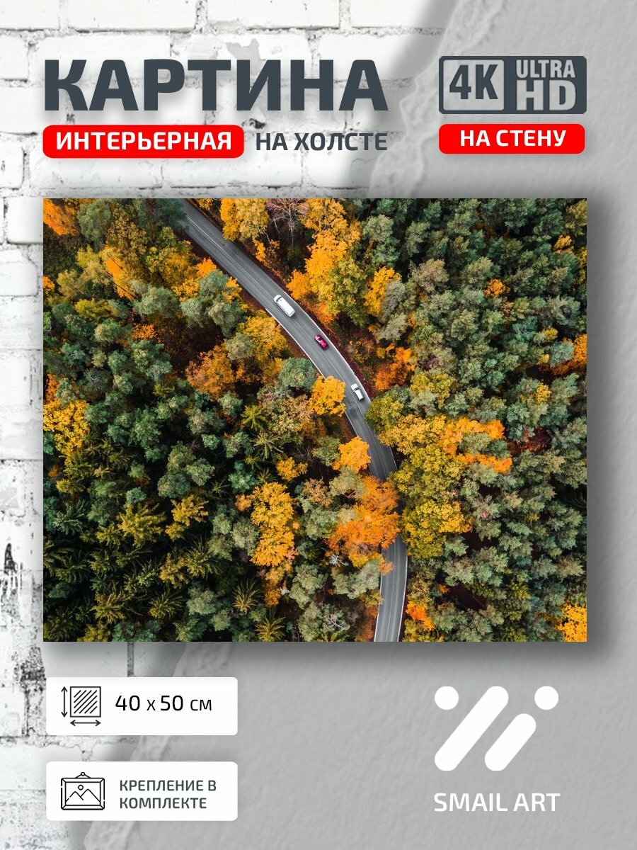 Картина на холсте интерьерная 40 на 50 на стену Лес Landscape для спальни пейзаж интерьер
