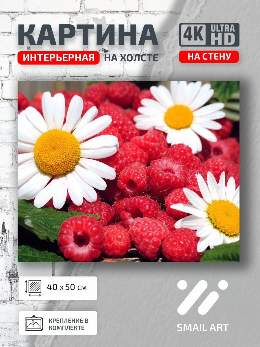 Картина на холсте интерьерная 40 на 50 на стену Малина Mood для студии атмосфера интерьер