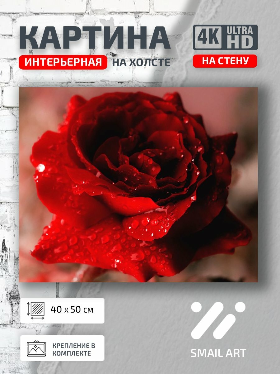Картина на холсте интерьерная 40 на 50 на стену Капли Macro для студии макро интерьер декор