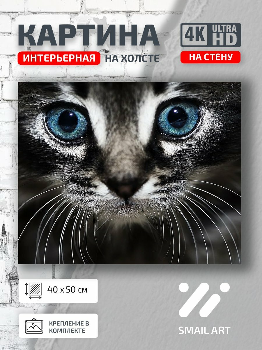 Картина на холсте интерьерная 40 на 50 на стену Кот Animal для детской animal style декор