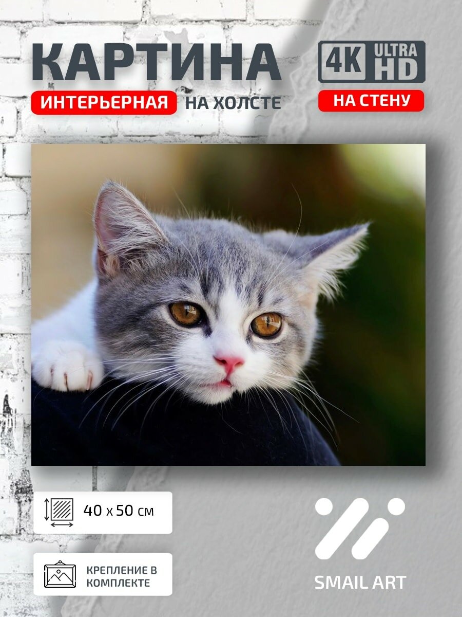Картина на холсте интерьерная 40 на 50 на стену глаза малыш для спальни атмосфера