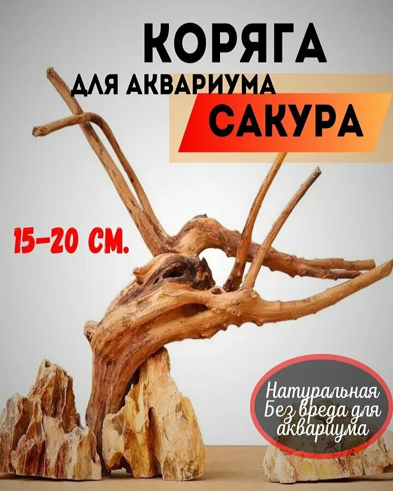 Декорация для аквариума "Сакура", 15 см, натуральная, коричневая