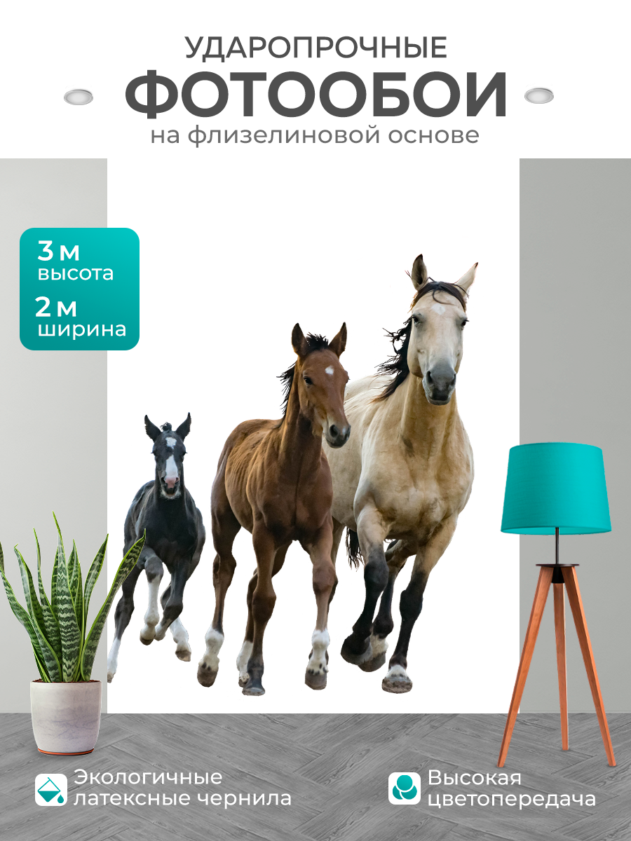 Фотообои моющиеся ударопрочные "Лошади, кобыла, жеребята" 200x300 см. флизелиновые на стену
