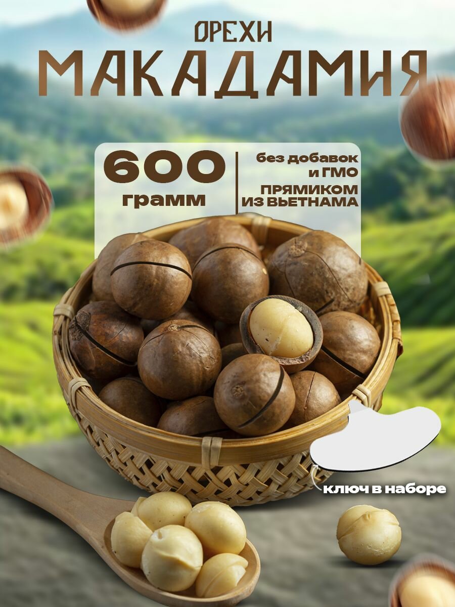 Орехи макадамия, сырые, натуральный продукт, герметичная упаковка, 600 гр