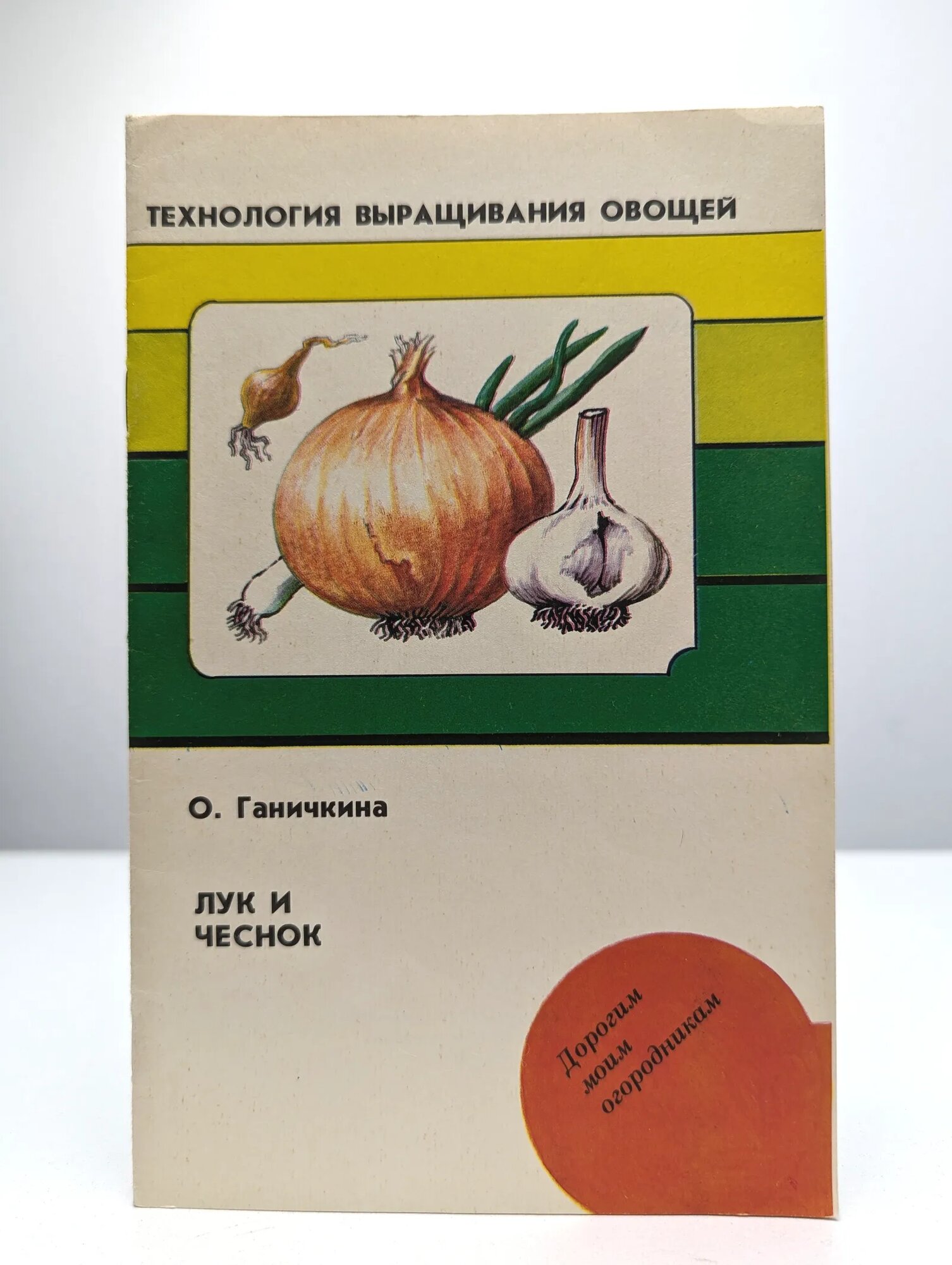 Лук и чеснок Ганичкина Октябрина Алексеевна 1992
