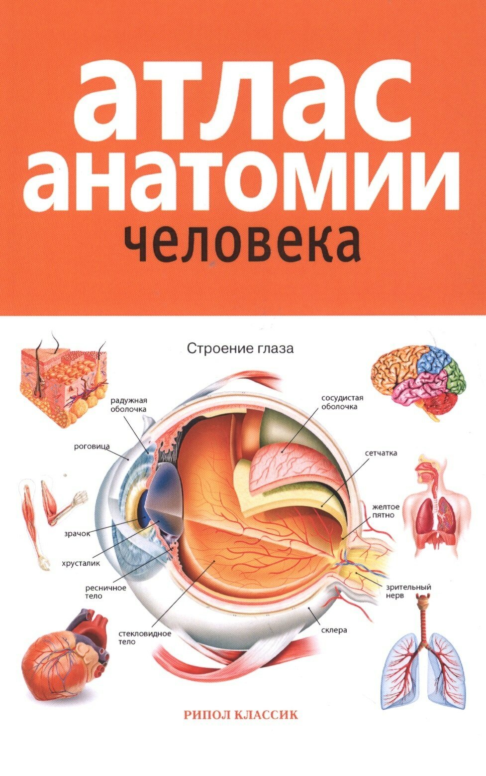 Книга: "Атлас анатомии человека. 2-е издание, дополненное и переработанное" от Марысаев В, русский язык, Анатомия и физиология