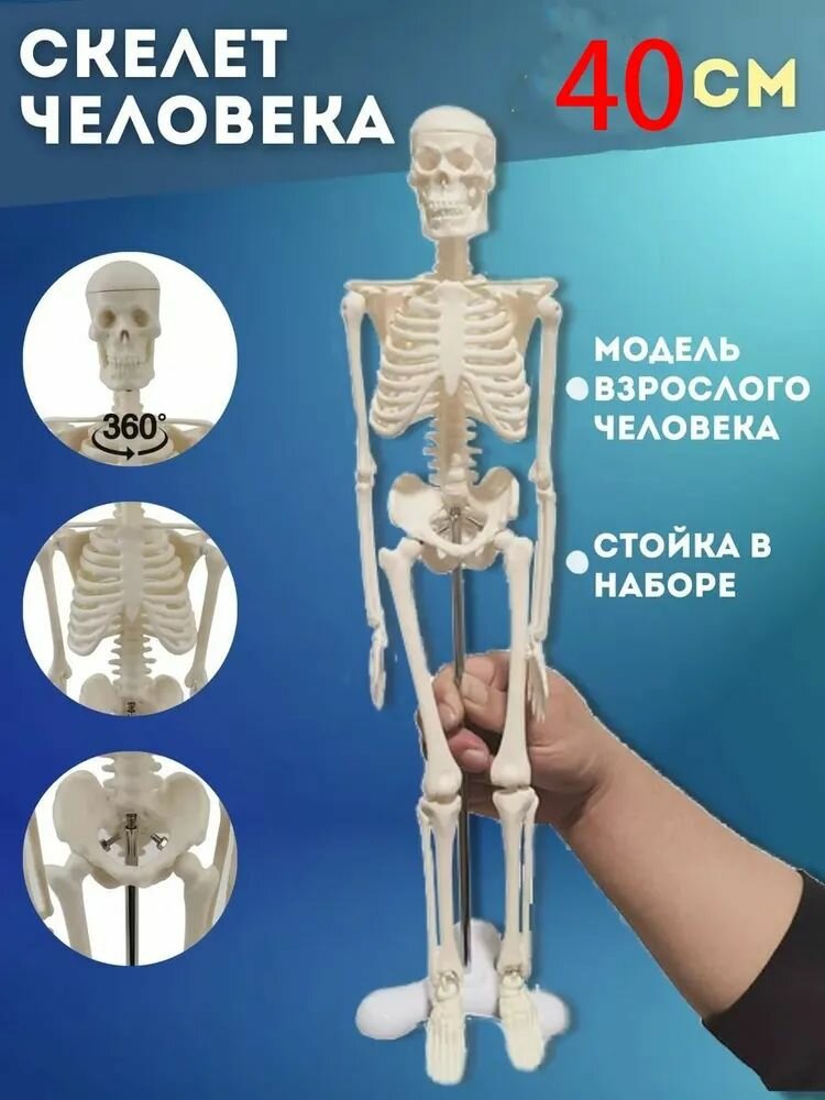 Интерьерная фигурка игрушка скелет 40CM