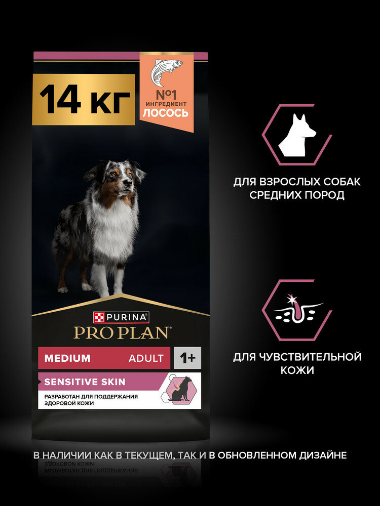 Сухой корм PRO PLAN® SENSITIVE SKIN для взрослых собак средних пород с чувствительной кожей с лососем, 14 кг