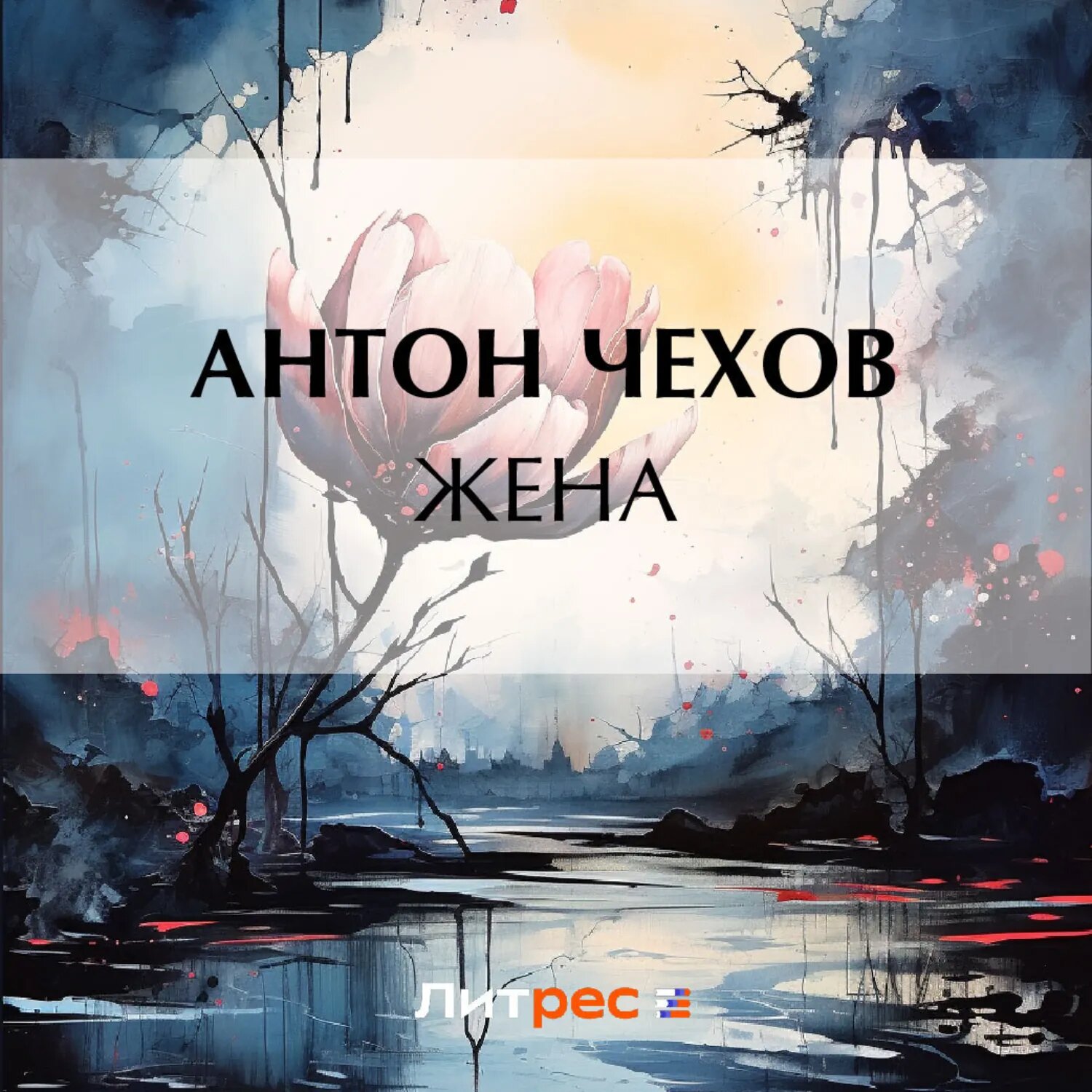 Жена [Аудиокнига]