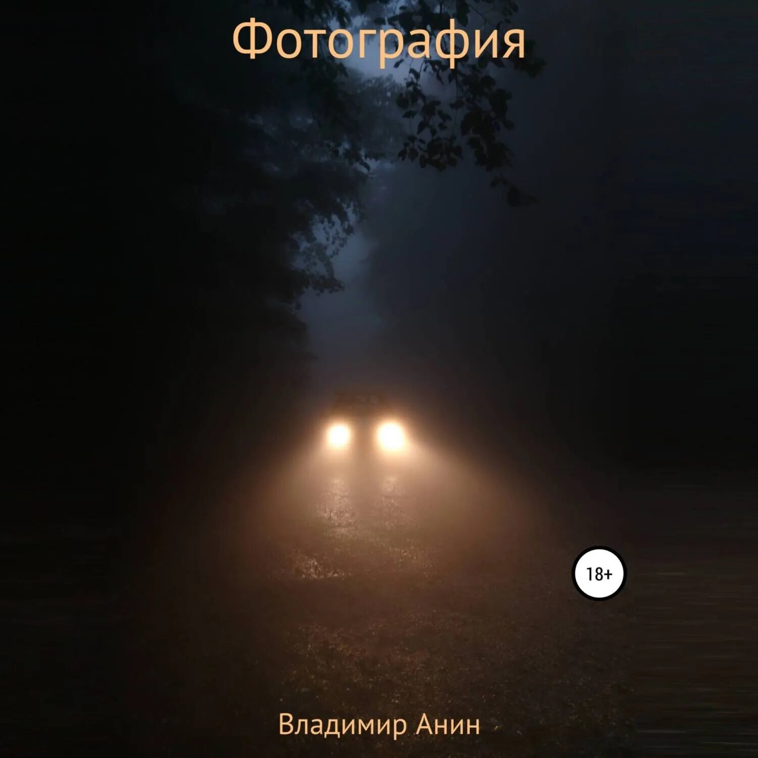 Фотография [Аудиокнига]