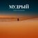 Мудрый [Аудиокнига]