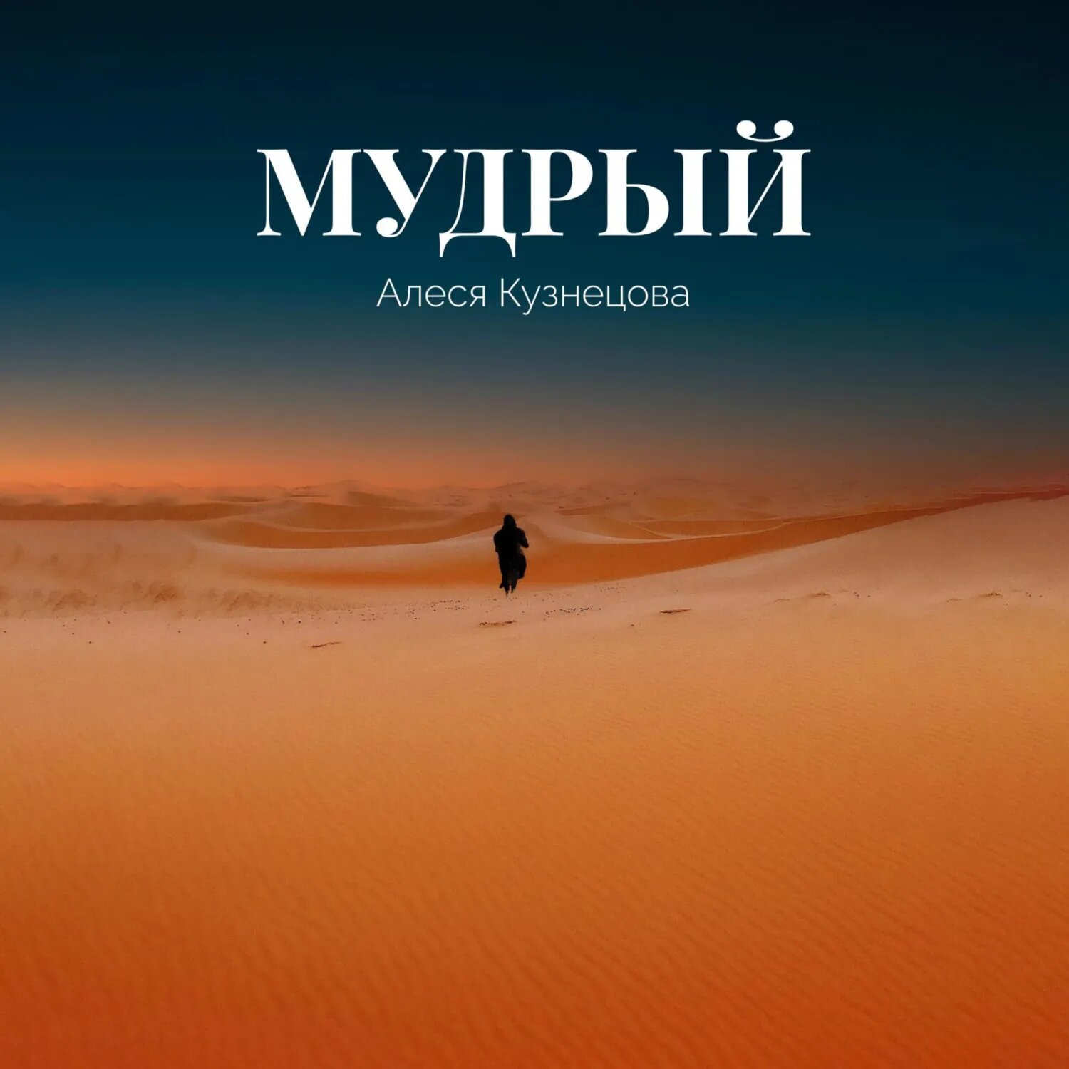 Мудрый [Аудиокнига]