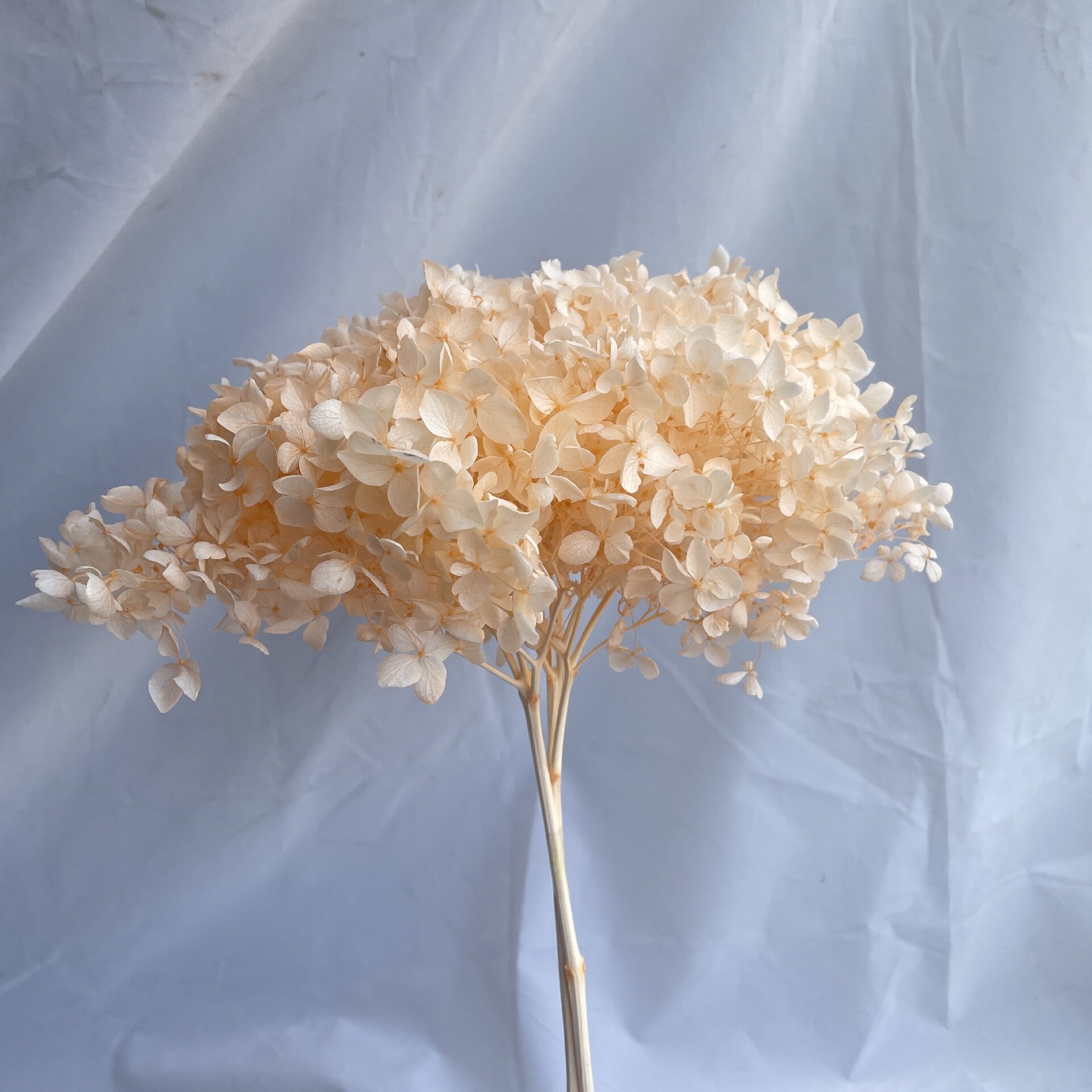 Аранжировщик цветов, одиночная ветка, подарок Анны, гортензия, сушеный цветок, вечная гортензия, домашний декор, цветочная композиция, многоцветная