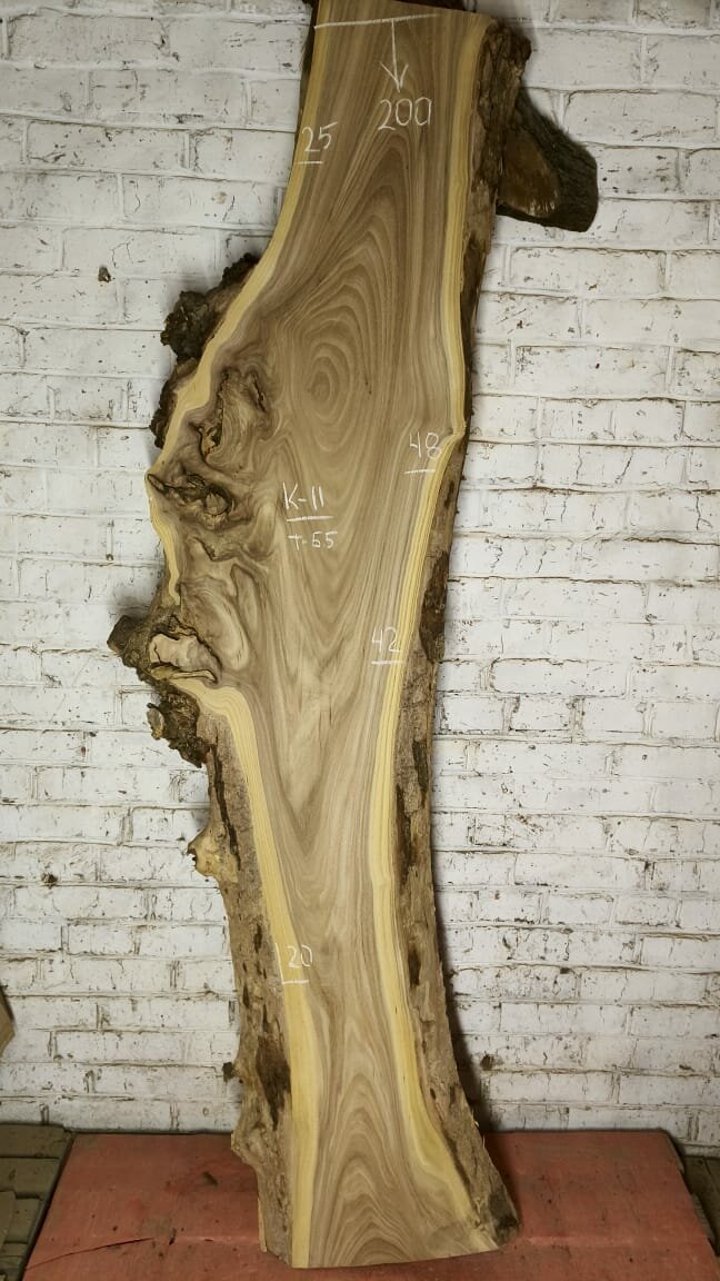 Слэб дерева Карагач К11, выровнен в плоскости, влажность 8-10%