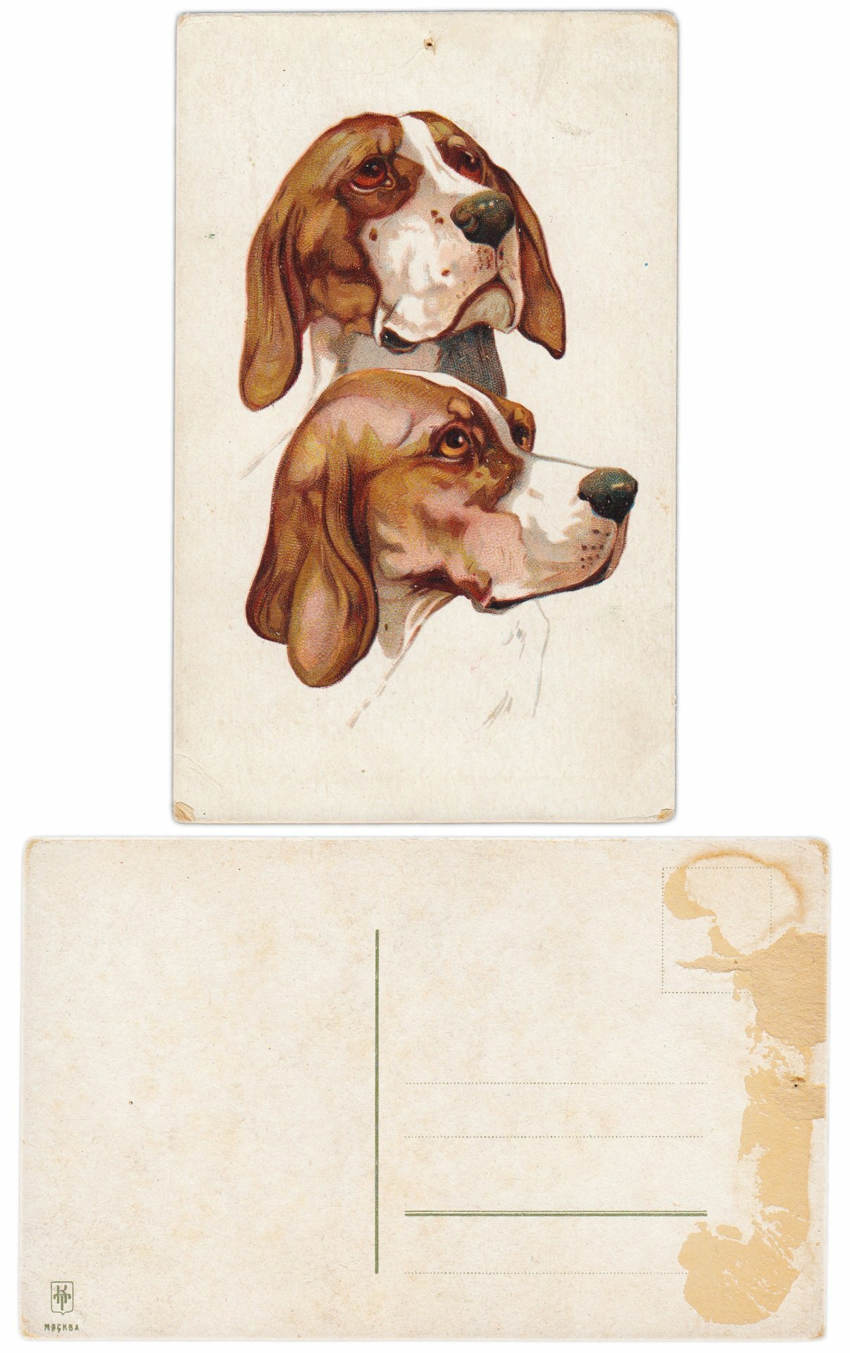 Открытка открытое письмо Охотничьи собаки Гончие