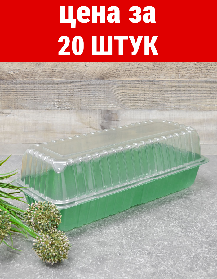 Комплект 20 шт, Парник для рассады 2 места, 39*16*6.5см (В2*570, Д2*570)