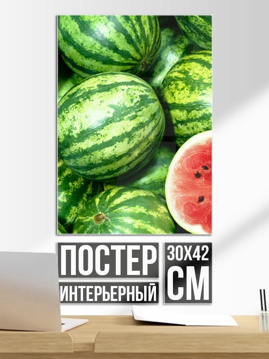 Постер на стену Арбузы урожай
