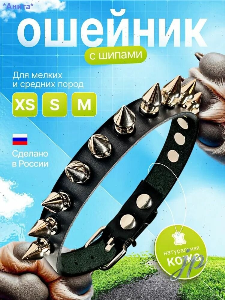Кожаный ошейник с шипами для собак