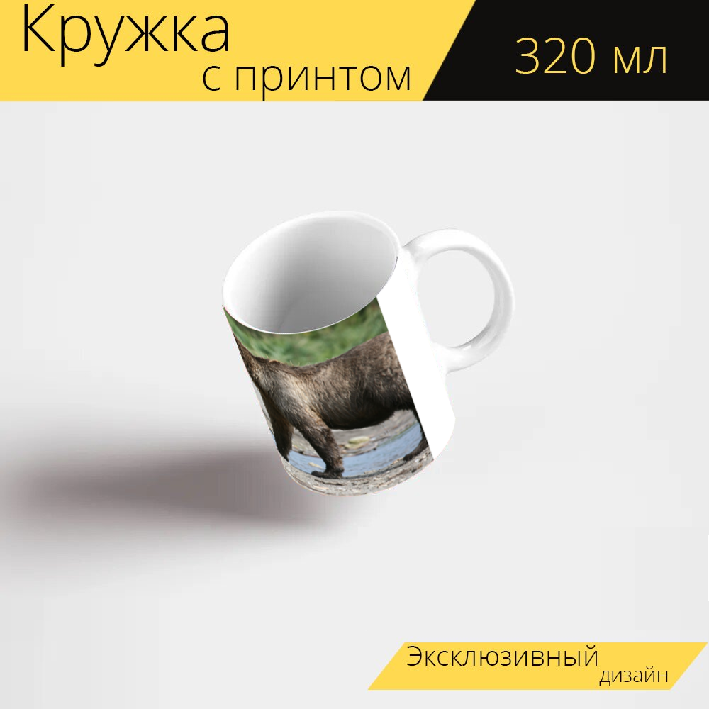 Кружка с рисунком, принтом "Бурый медведь, хищник, дикий зверь" 320 мл.