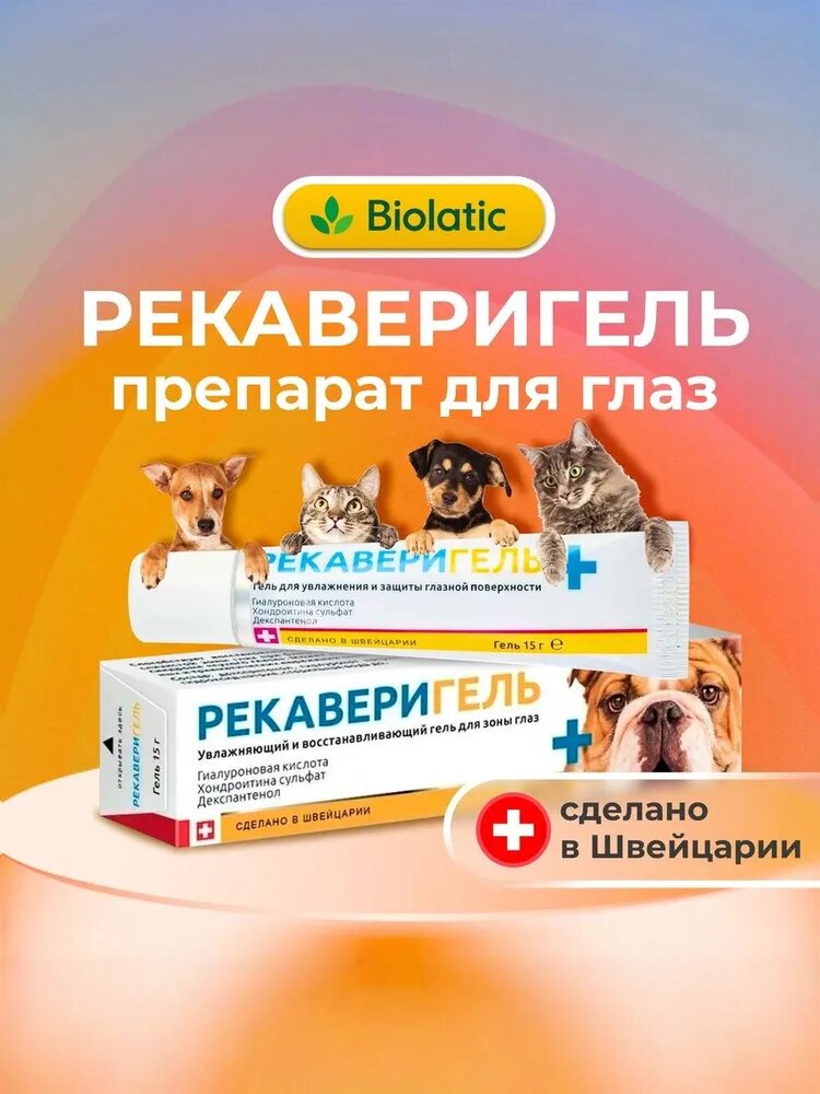 Рекаверигель гель для увлажнения и защиты глазной поверхности, 15 гр