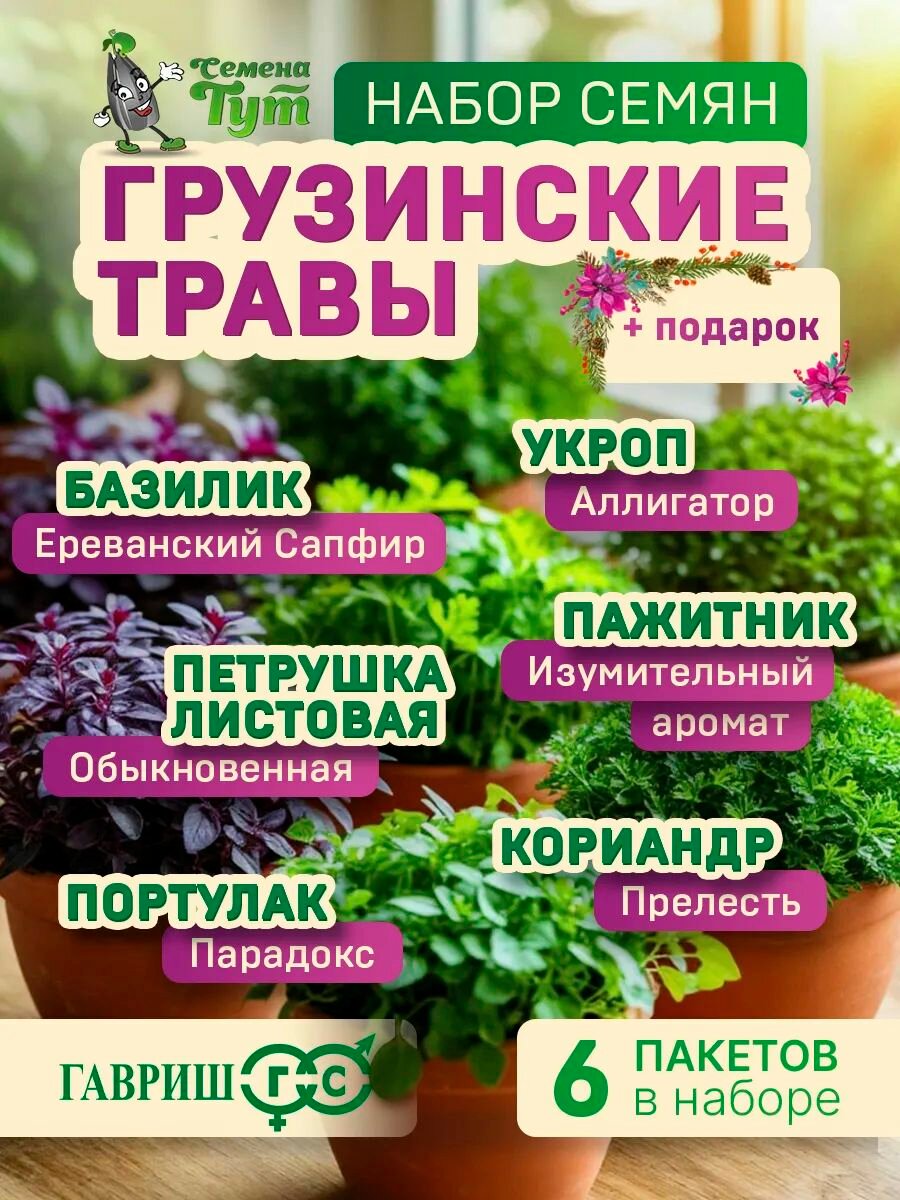 Набор семян Грузинские травы 6 штук(базилик; портулак; кориандр (кинза); пажитник; петрушка; укроп)