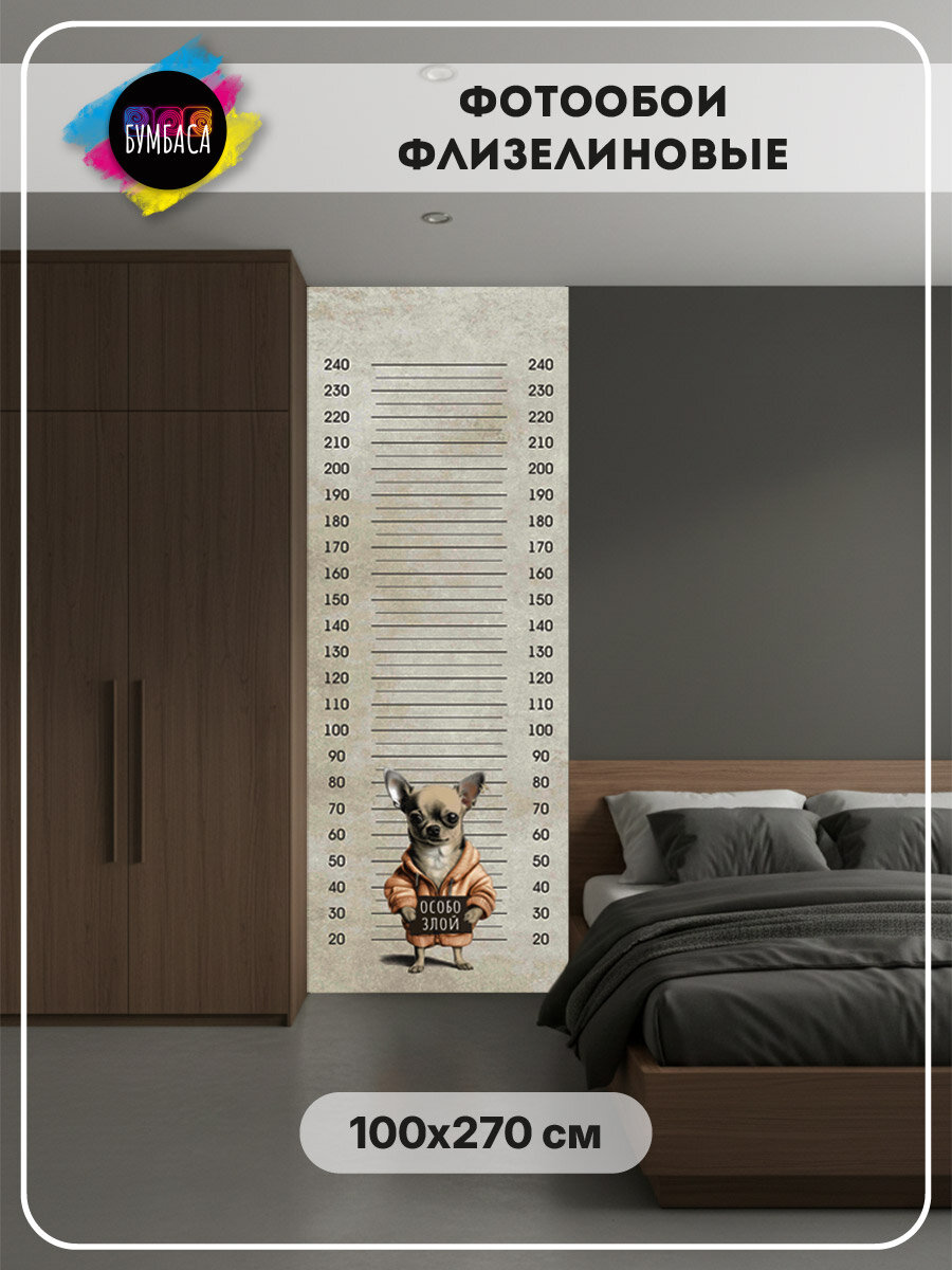 Фотообои-ростомер флизелиновые Собака Чихуахуа. Размер 100х270 см