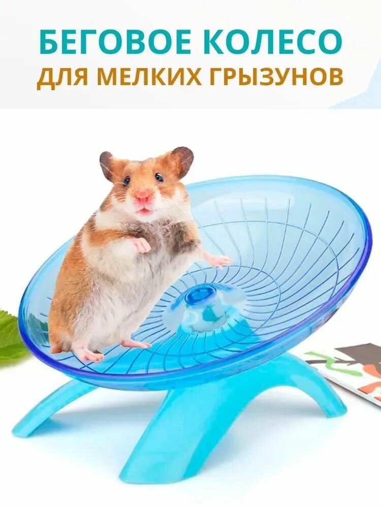 Колесо для хомяка, беговое в клетку, игрушки для хомяка. Синий