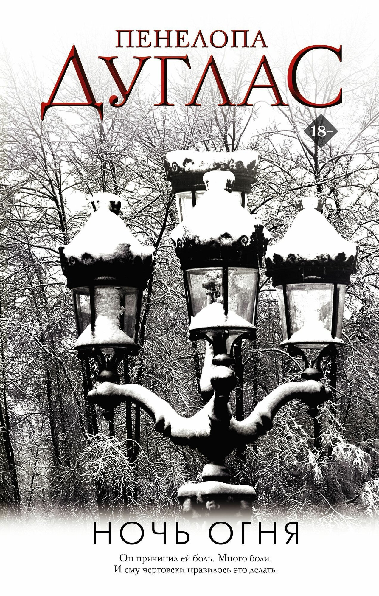 Книга "Ночь Огня"