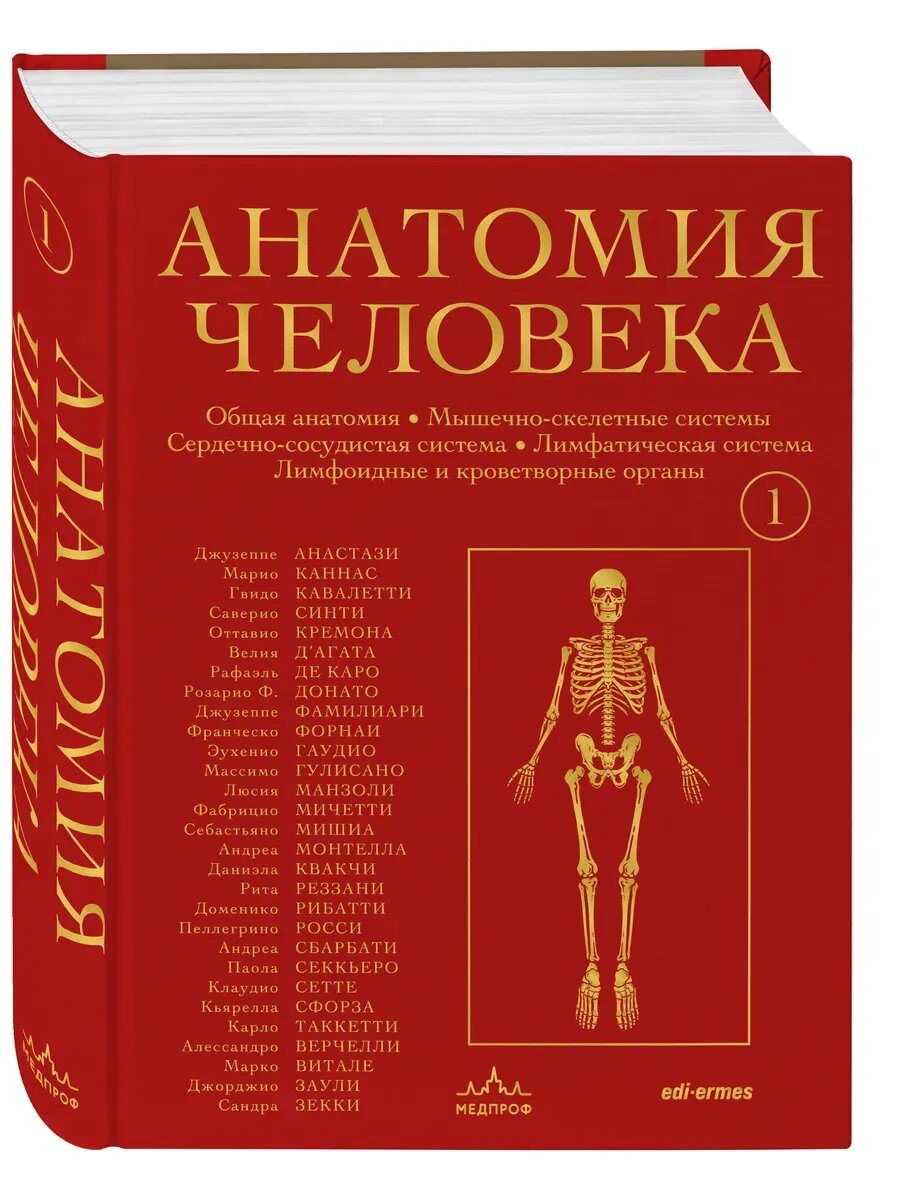 Джузеппе Анастази. Анатомия человека. Эксклюзивное издание с 50-летней историей. Том 1