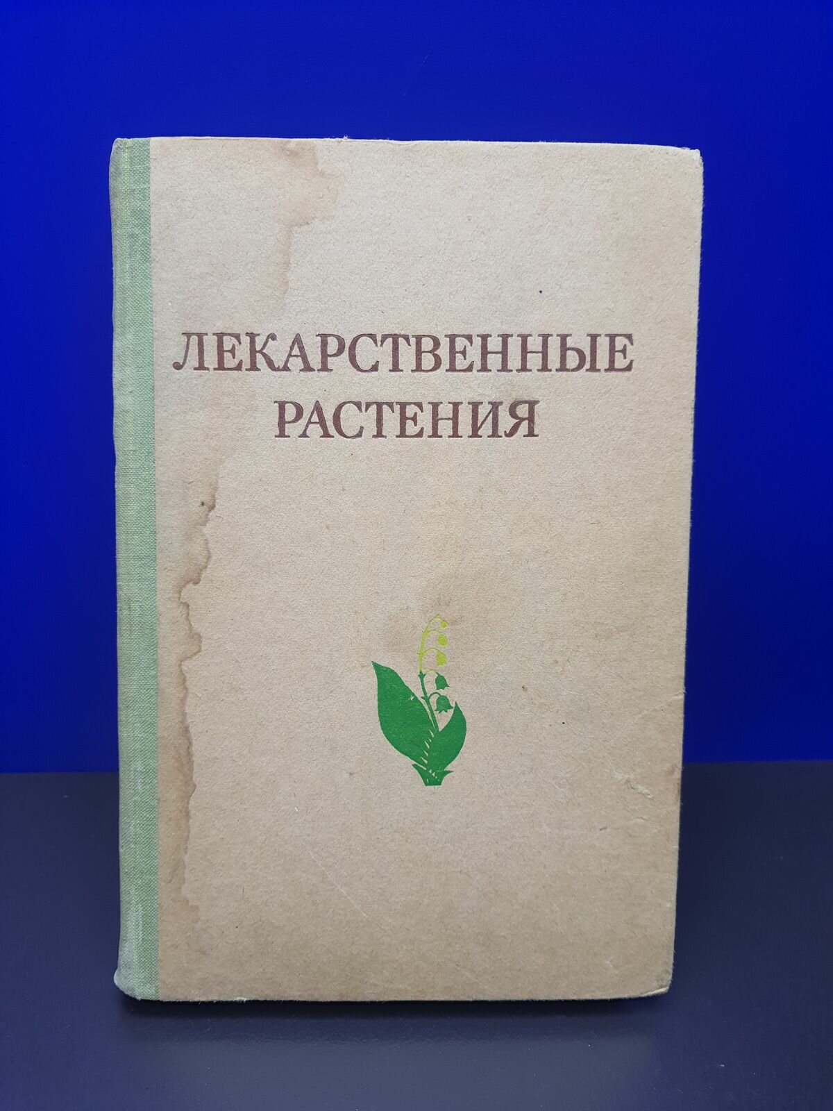Лекарственные Растения. Растения Целители