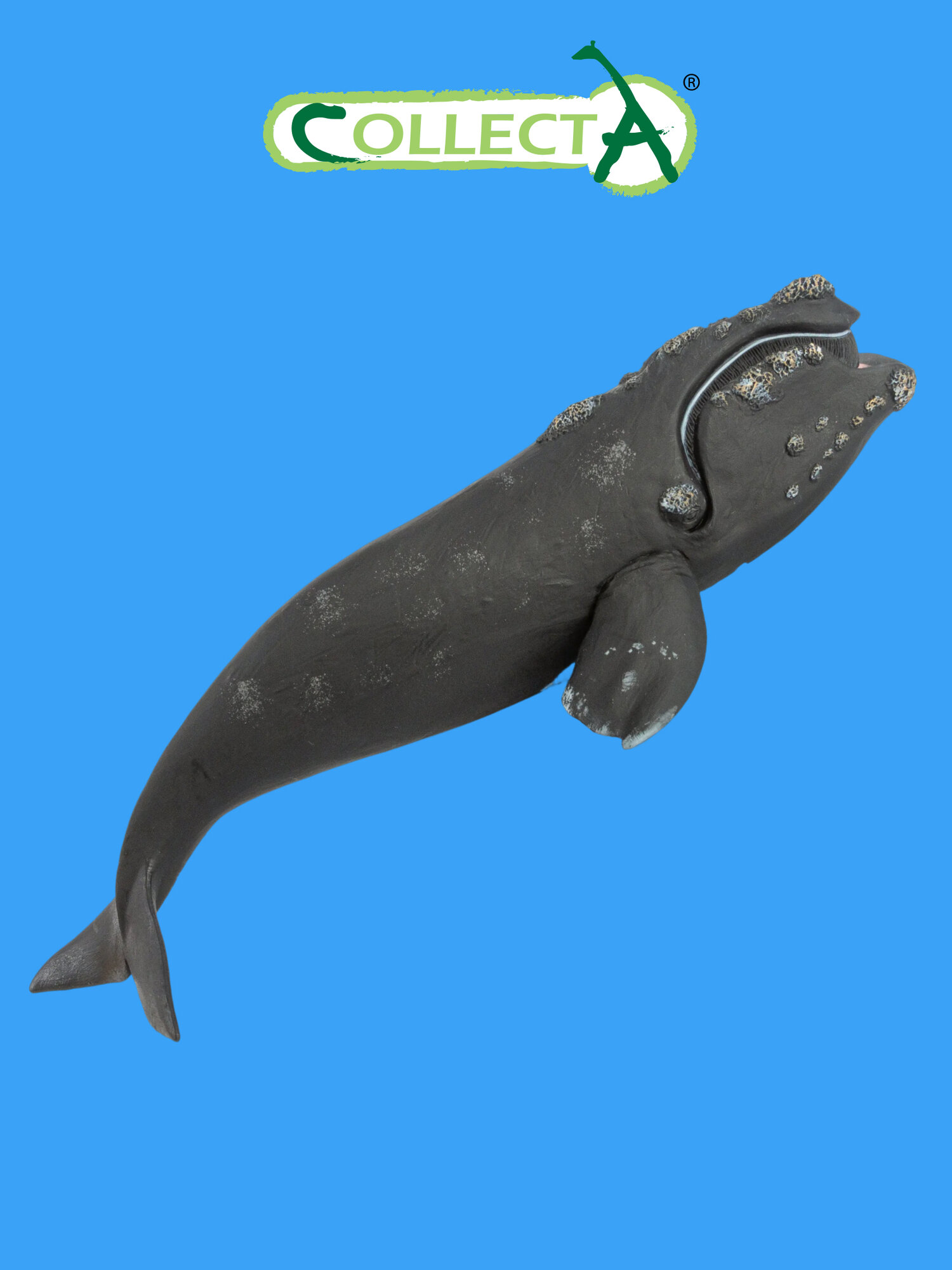 Фигурка морского животного Collecta "Южный кит" высота 4 см, 88740b