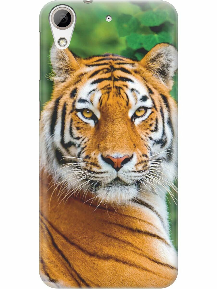 Накладка Transparent для HTC Desire 626 / 626s / 626G Dual Sim с принтом "Портрет тигра"