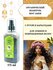 Шампунь для ломких волос с маслом руты душистой Bint Amer