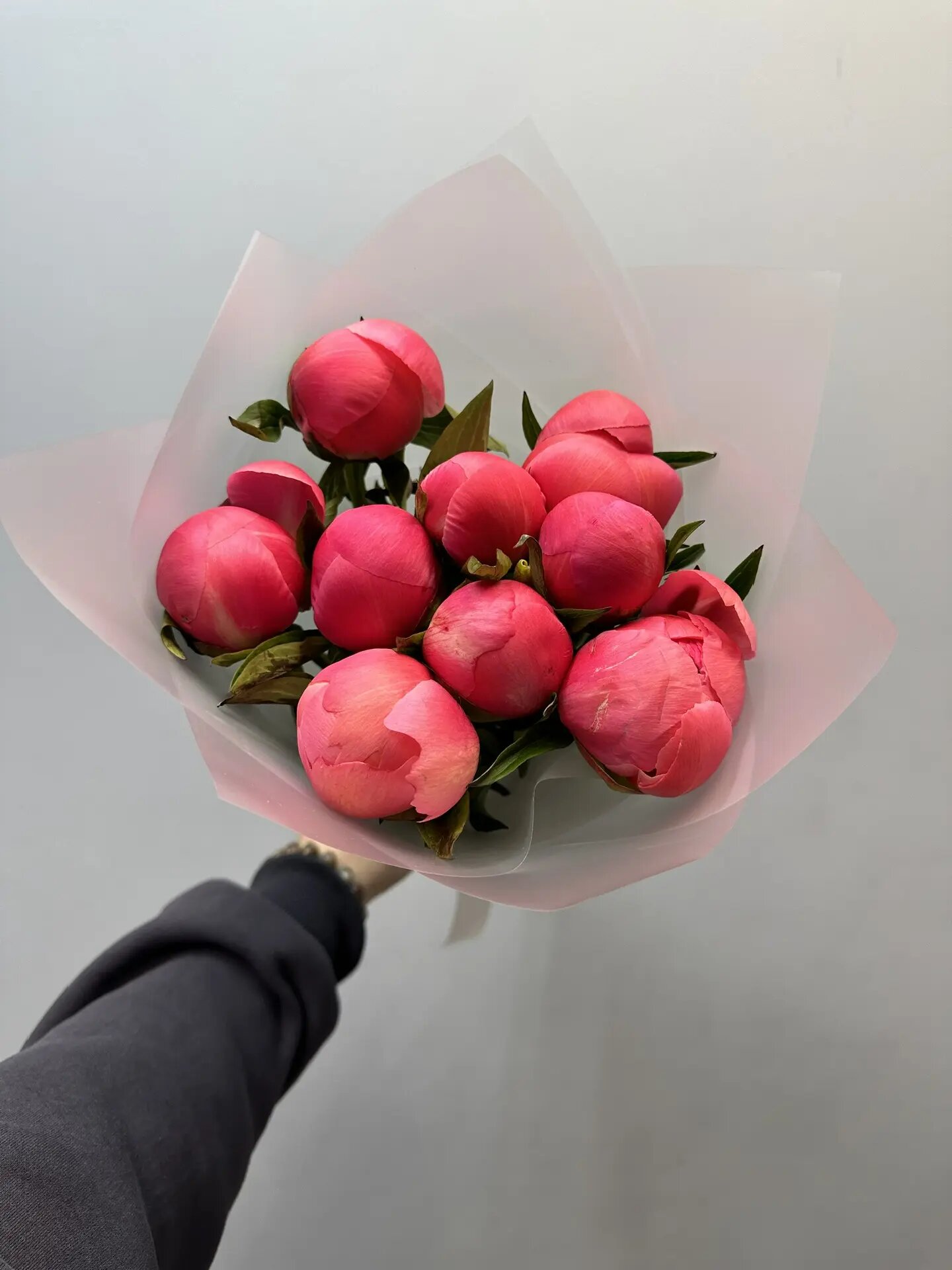 Прекрасный букет из 11 коралловых пионов в упаковке с доставкой