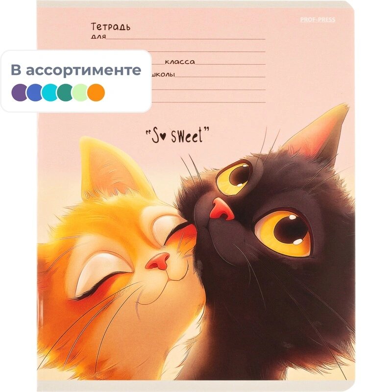 Тетрадь ДОП. Косая линия 12л. Кошачьи МОРДОЧКИ-4 цвет. мел. обл. ассорти 12-4466